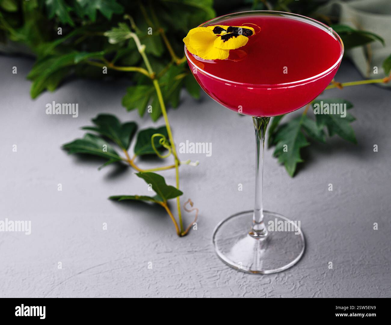 Elegant cocktail with edible flower garnish Stock Photo - Alamy