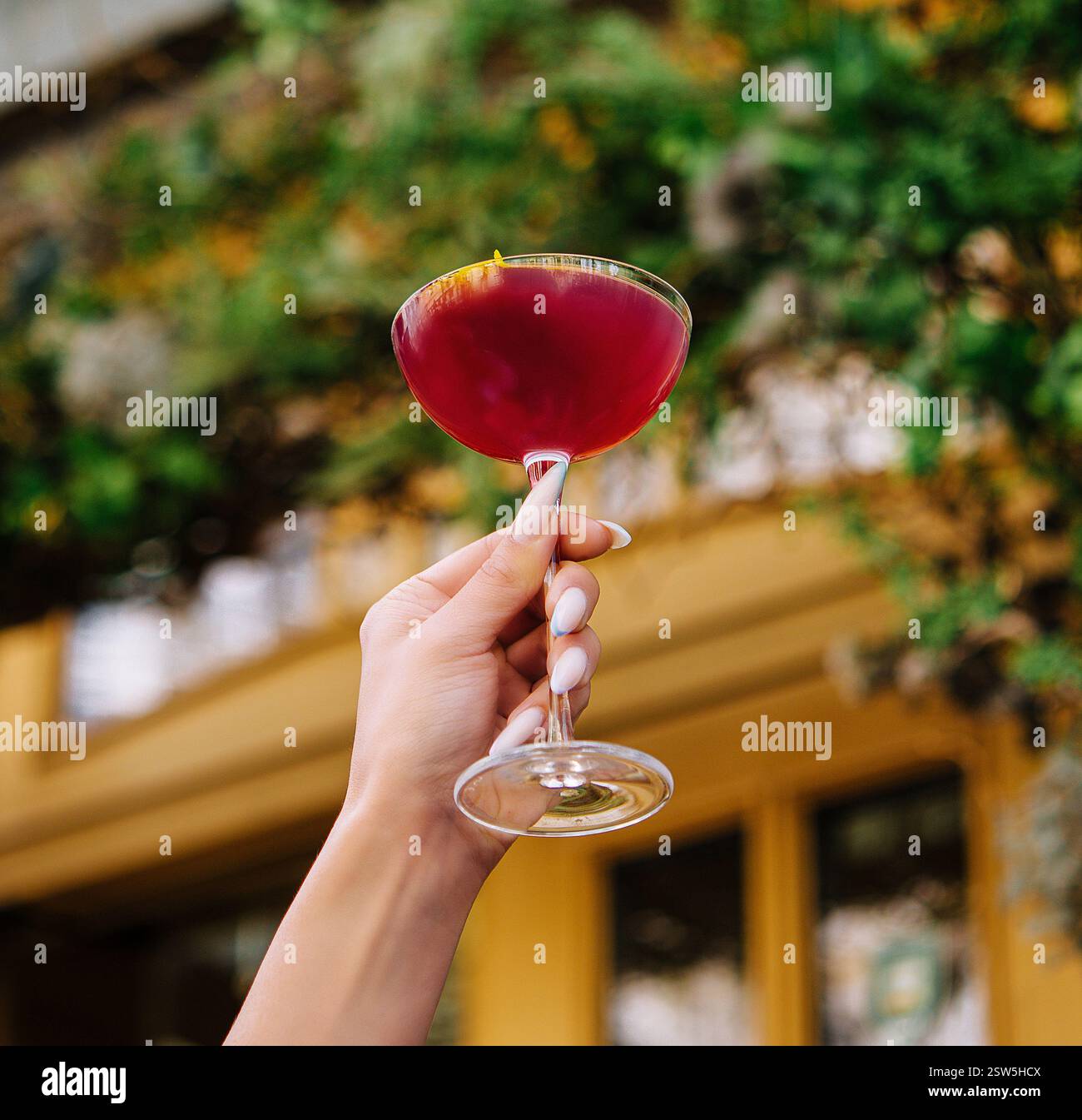 Holding cocktail hand hi-res stock photography and images - Alamy