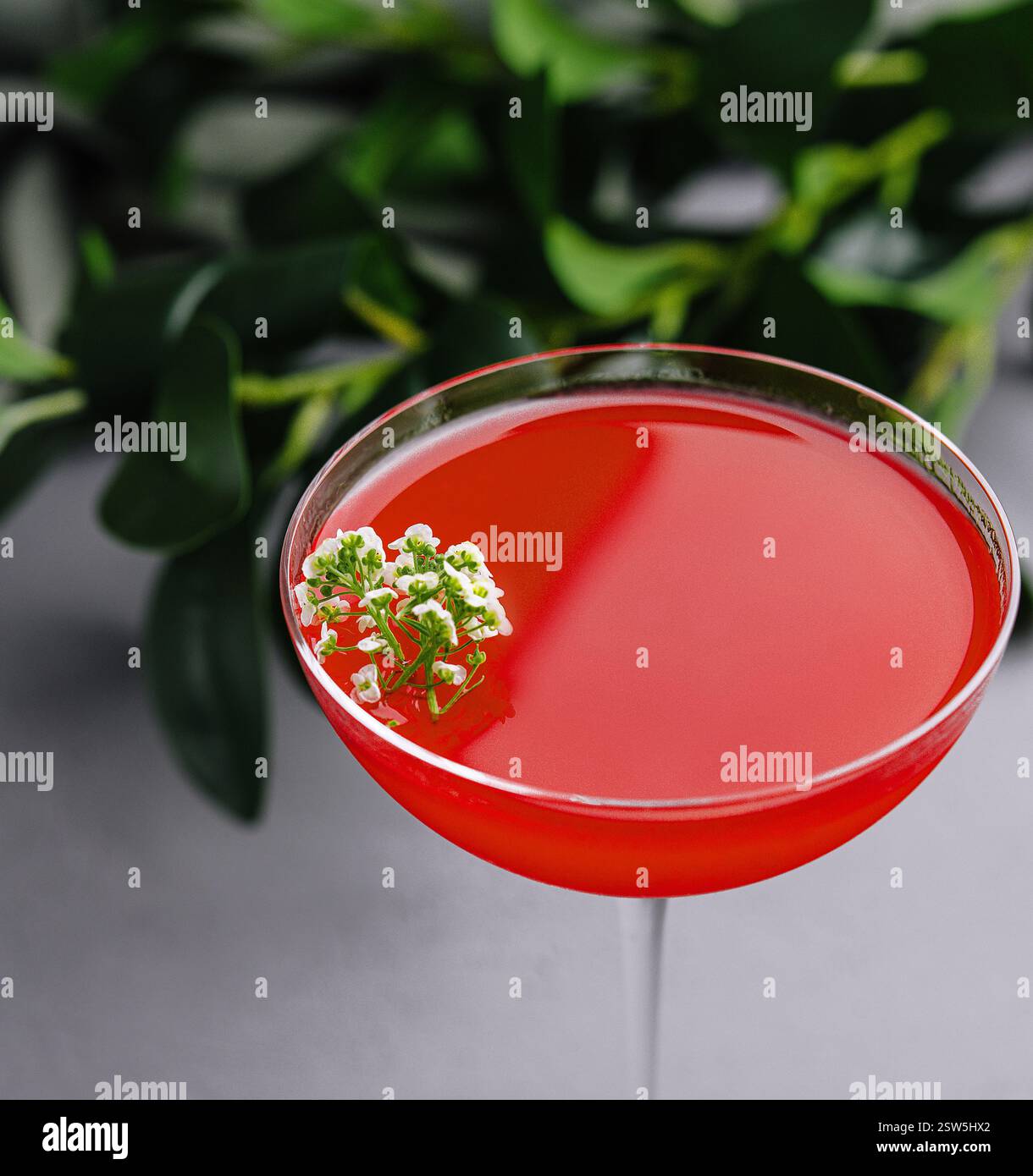Elegant red cocktail with floral garnish Stock Photo - Alamy