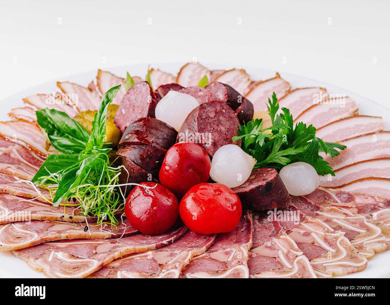 Variety of sliced deli meats served on a plate with garnish, isolated ...