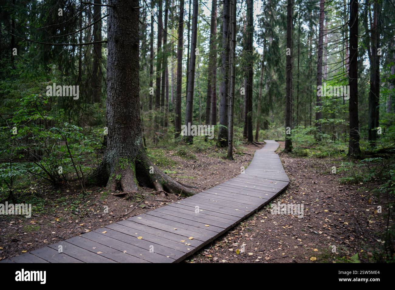Ecological curve pathway in national park hi-res stock photography and ...