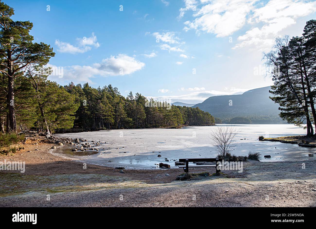 Landscape photography of bench and frozen lake Loch an Eilein, Aviemore ...