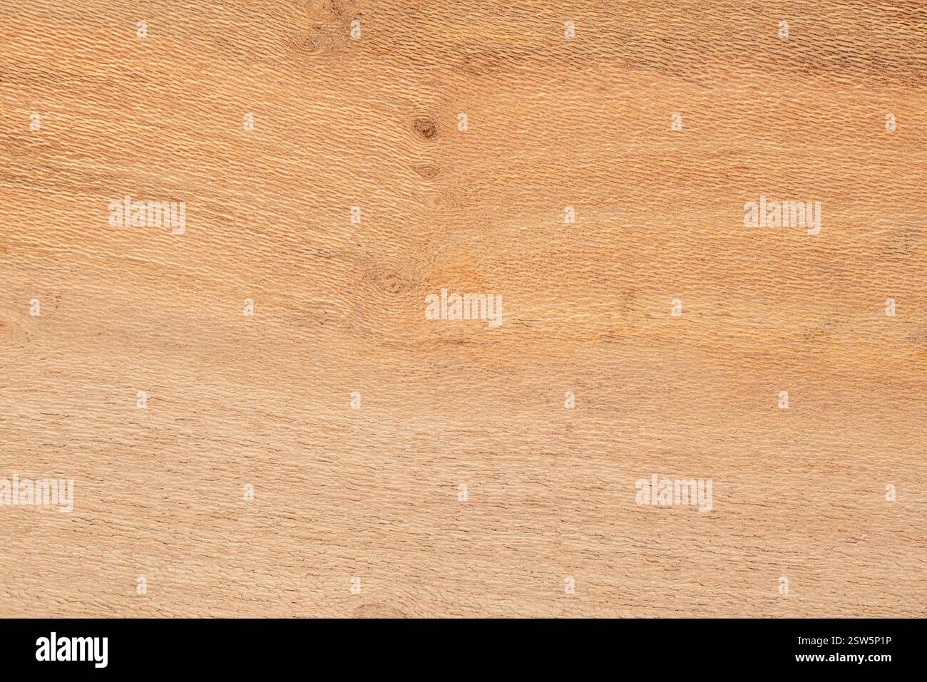 Macro background photography of white Acacia wood, wooden plank ...