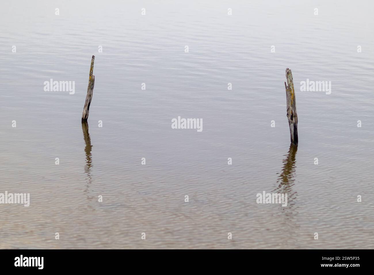 Old wooden posts submerged hi-res stock photography and images - Alamy