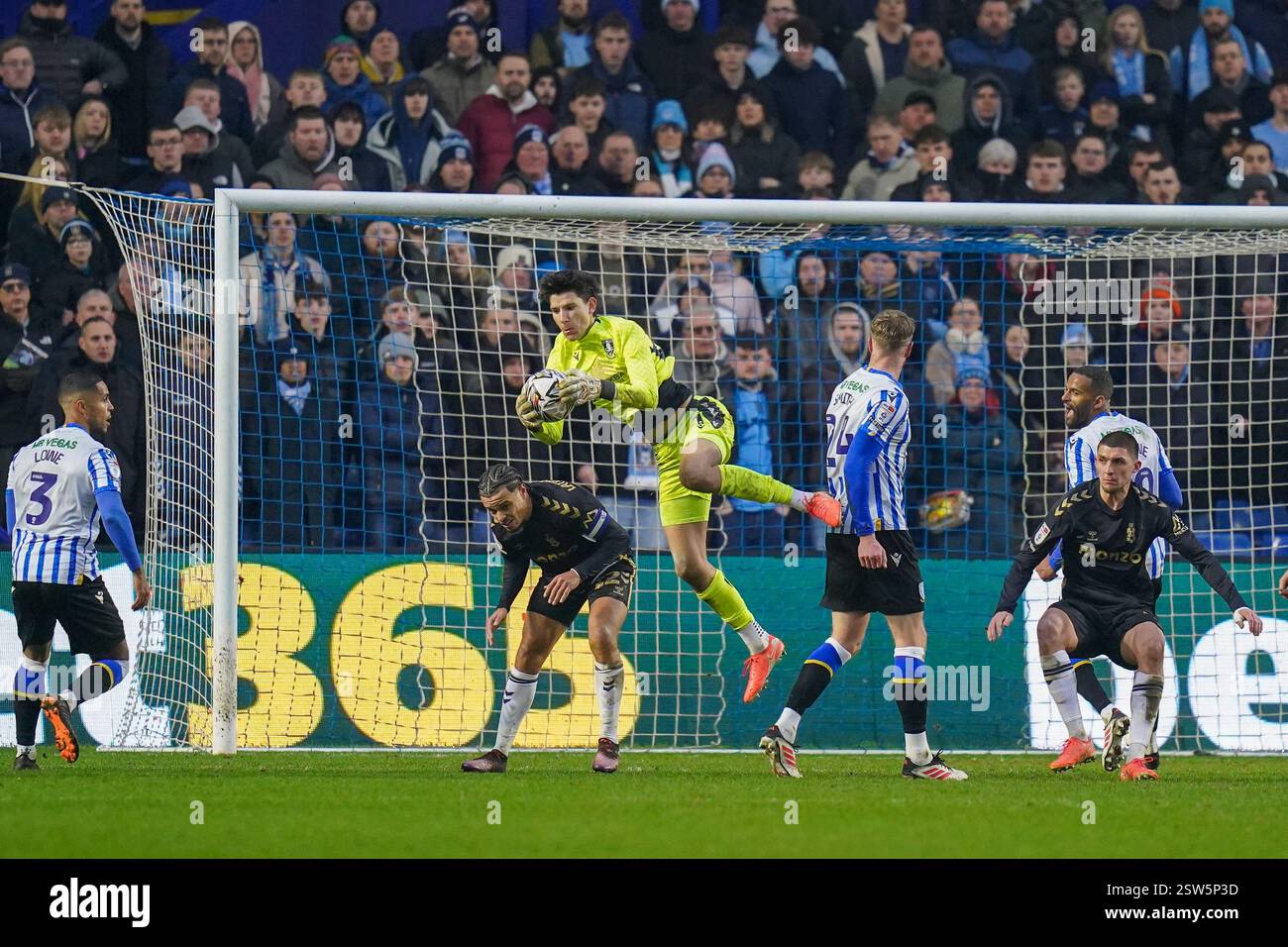 Sheffield, UK. 15th Feb, 2025. Sheffield Wednesday goalkeeper James ...