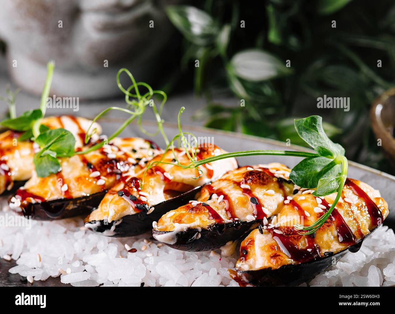 Gourmet grilled mussels on bed of rice Stock Photo - Alamy