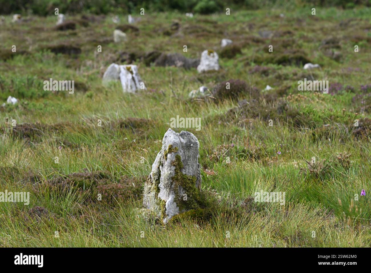 Historis environment scotland hi-res stock photography and images - Alamy