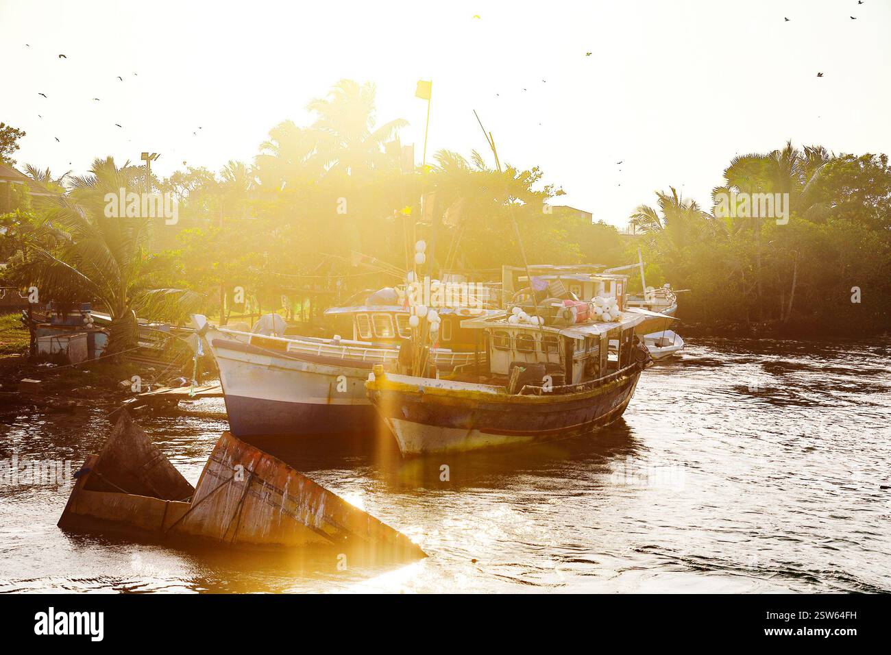 Colorful fishing boats on Negombo Lagoon, Colombo, Sri Lanka, Asia ...
