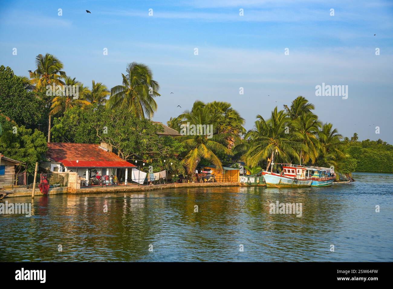 Colorful fishing boats on Negombo Lagoon, Colombo, Sri Lanka, Asia ...