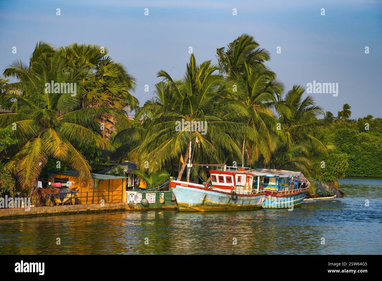 Colorful fishing boats on Negombo Lagoon, Colombo, Sri Lanka, Asia ...