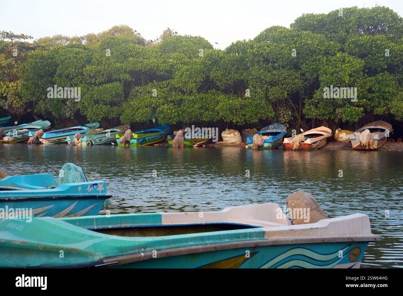 Colorful fishing boats on Negombo Lagoon, Colombo, Sri Lanka, Asia ...
