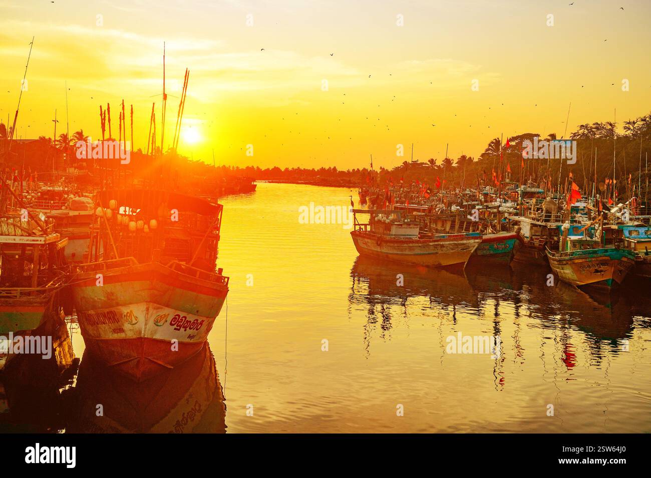 Colorful fishing boats on Negombo Lagoon, Colombo, Sri Lanka, Asia ...