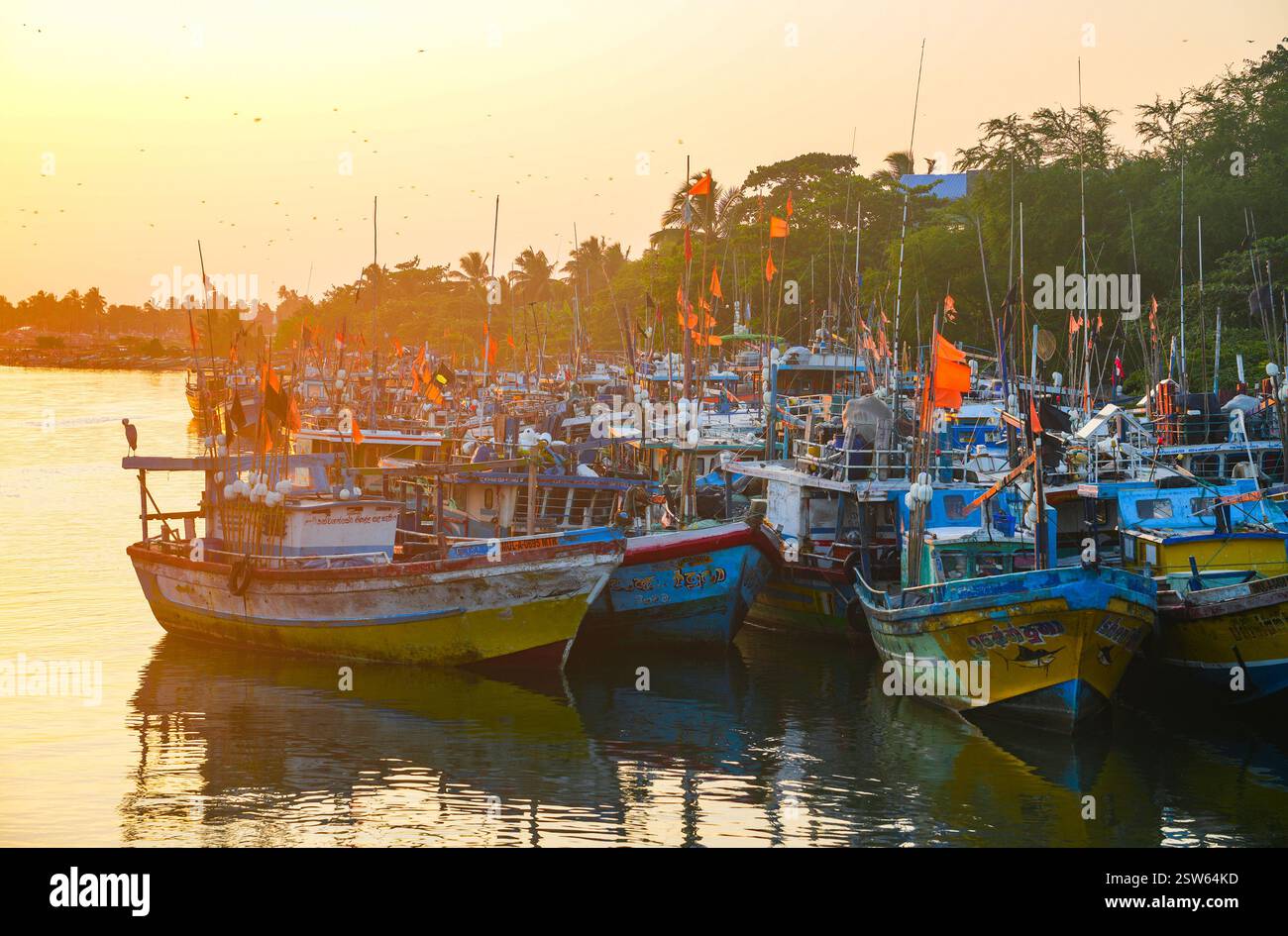 Colorful fishing boats on Negombo Lagoon, Colombo, Sri Lanka, Asia ...