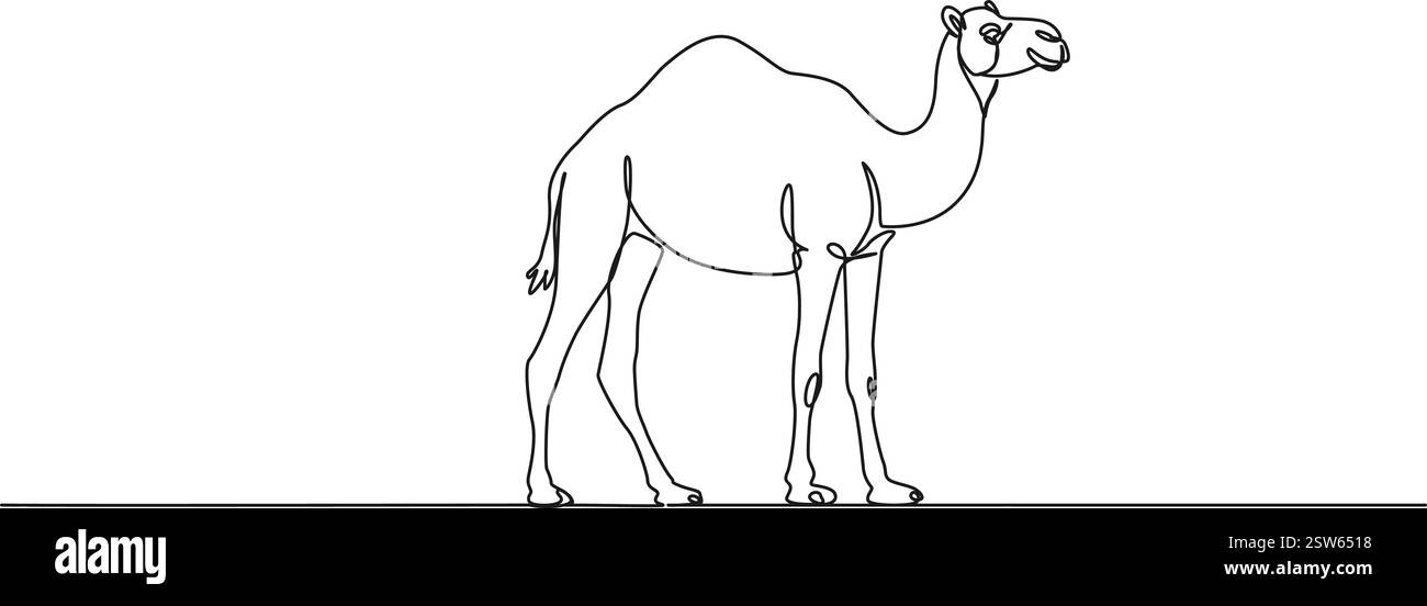 continuous single line drawing of a camel, line art vector illustration ...