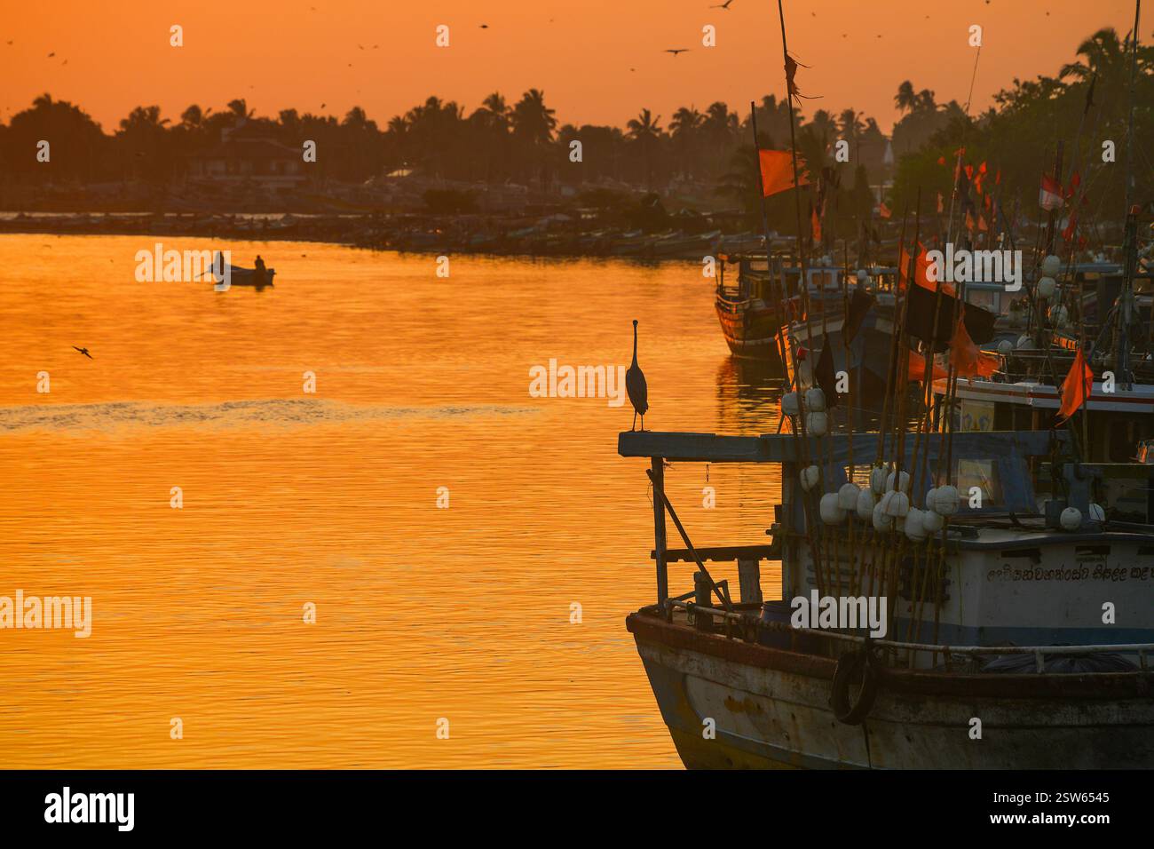 Colorful fishing boats on Negombo Lagoon, Colombo, Sri Lanka, Asia ...