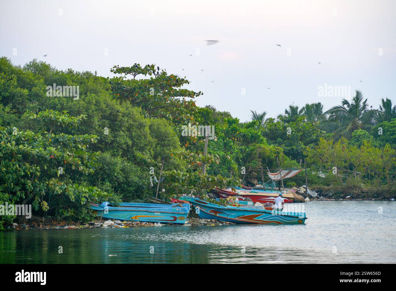 Colorful fishing boats on Negombo Lagoon, Colombo, Sri Lanka, Asia ...
