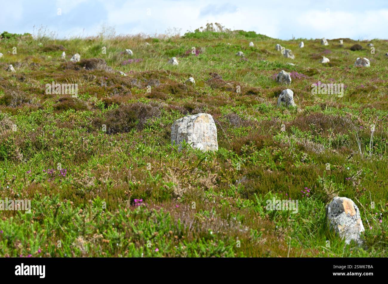 Historis environment scotland hi-res stock photography and images - Alamy