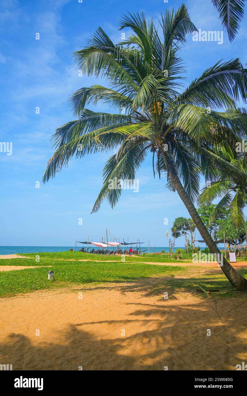 Landscape of Negombo beach in Sri Lanka. Negombo offers some of the ...