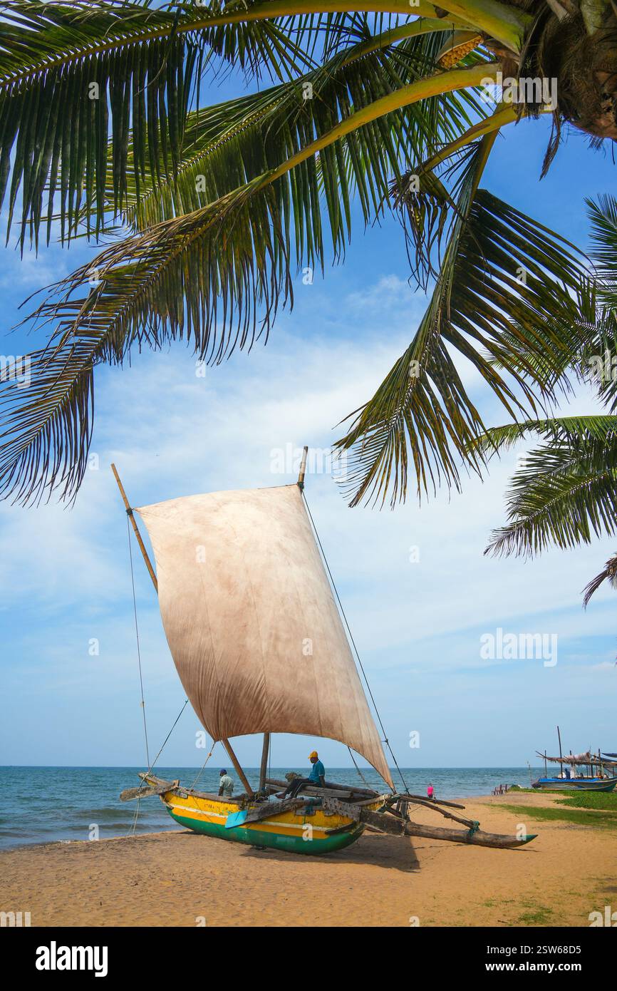 Landscape of Negombo beach in Sri Lanka. Negombo offers some of the ...