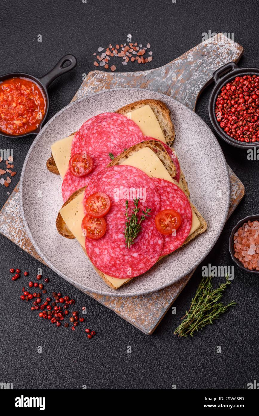Sandwich with toast, salami slices, cheese and tomatoes, salt and spices Stock Photo - Alamy
