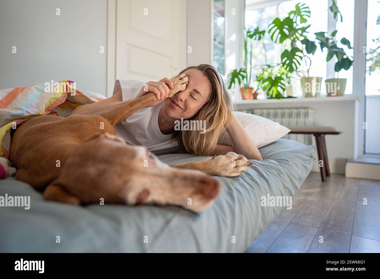 Pleased woman having fun in bed with dog in morning waking up spending ...