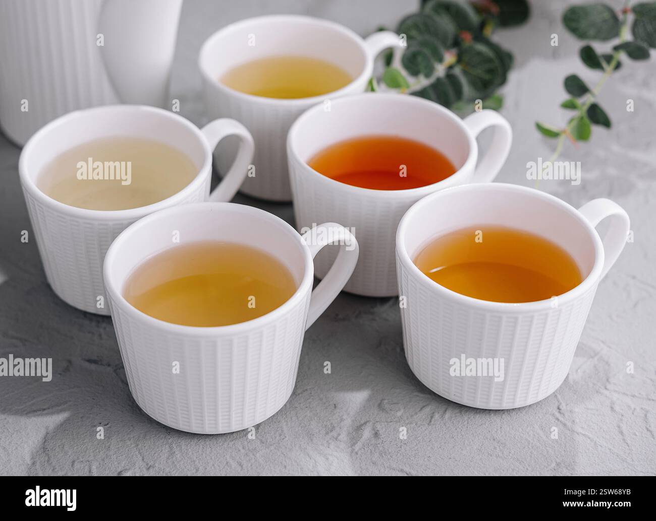 Assortment of teas in cups hi-res stock photography and images - Alamy