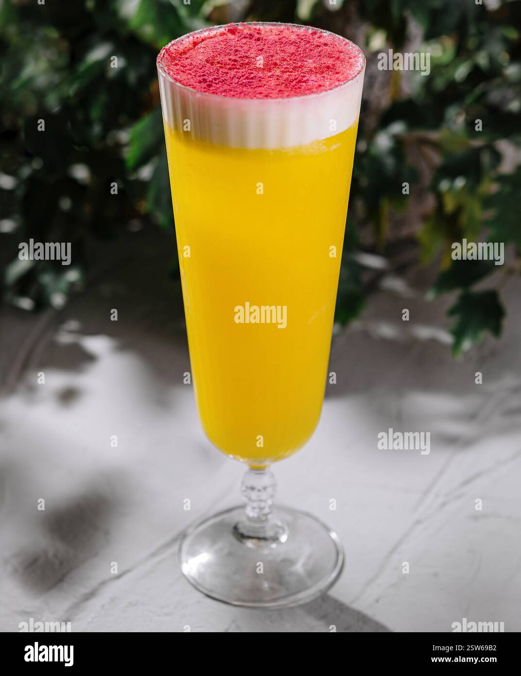 Refreshing tropical mimosa cocktail with frothy top Stock Photo - Alamy