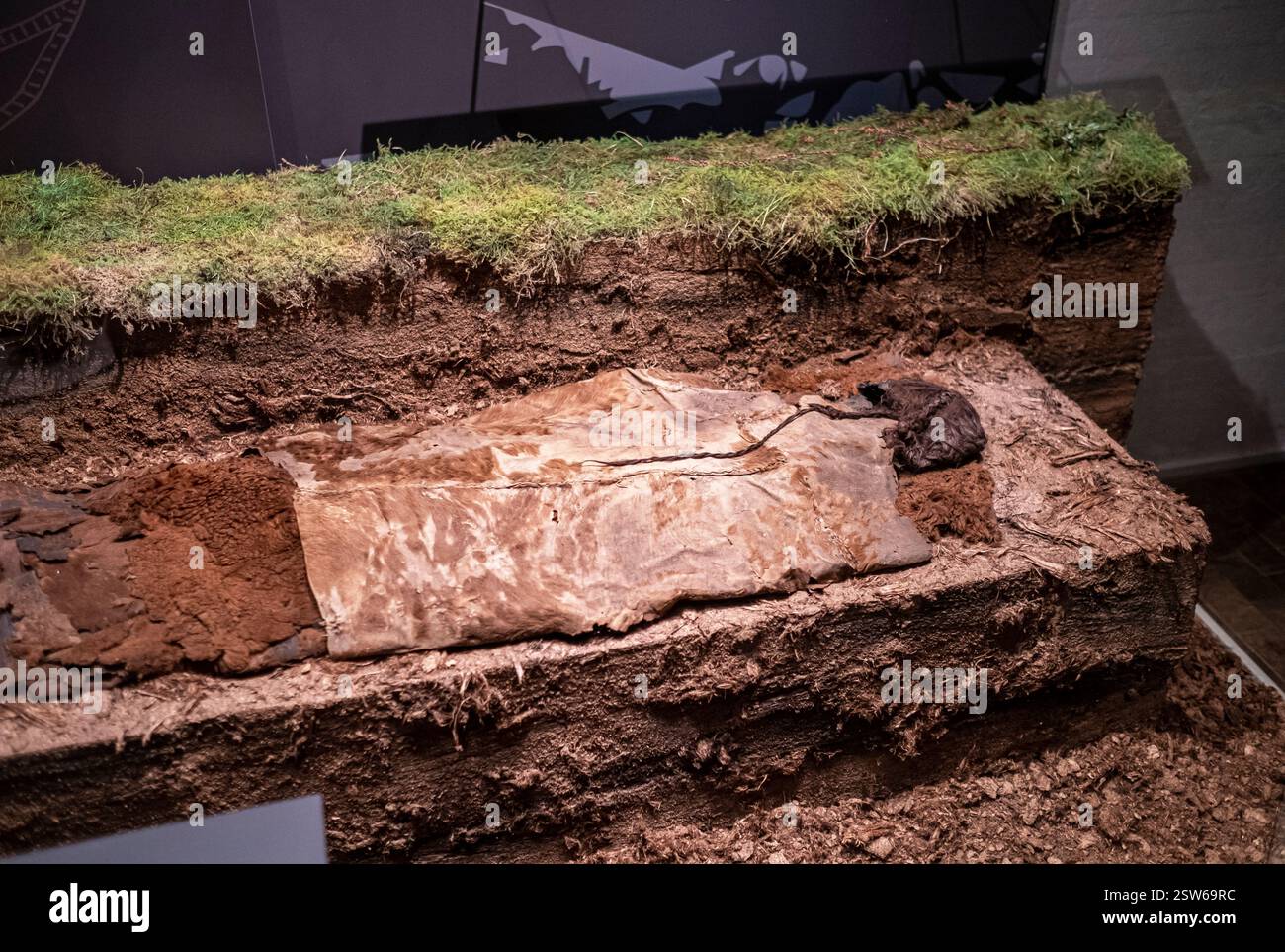 Bog body hi-res stock photography and images - Alamy