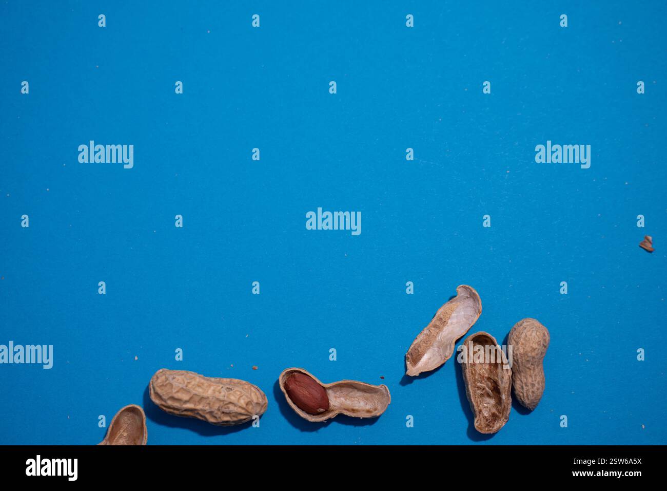 Natural whole peanuts in a shell on a blue background.Peel the peanut ...
