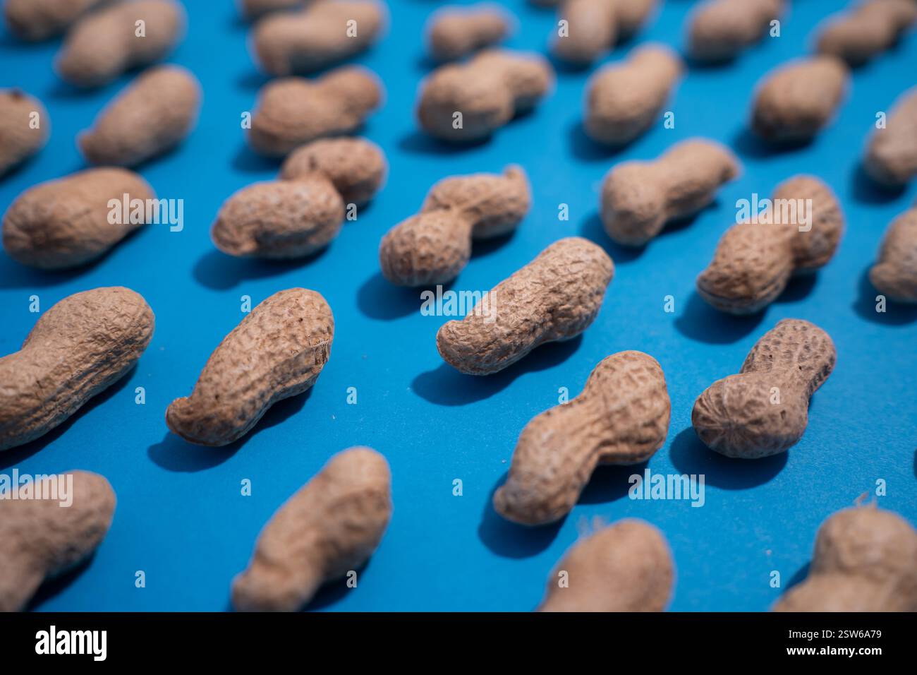 Top view of fresh peanuts in shells forming seamless pattern on blue ...