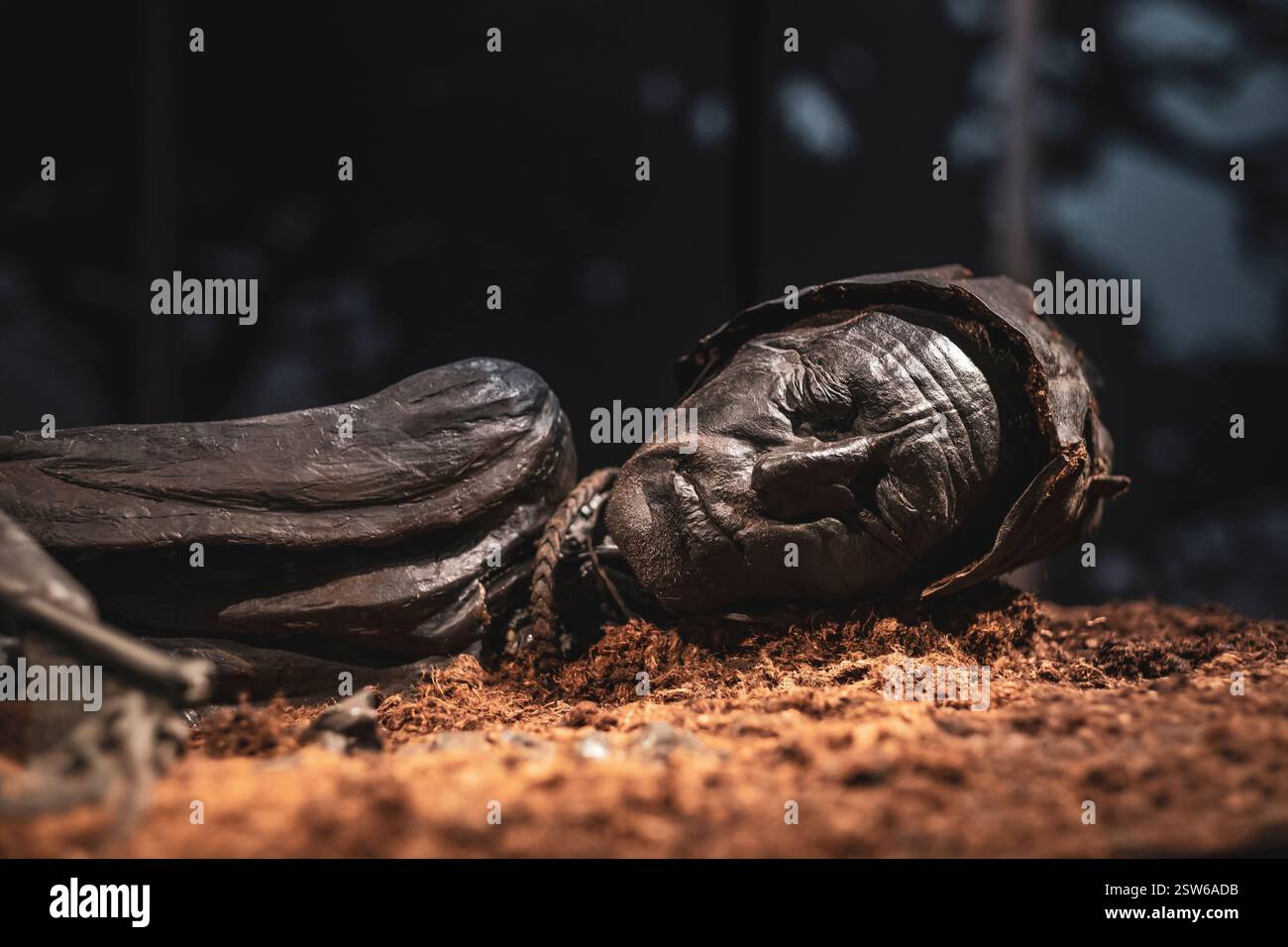 Bog body hi-res stock photography and images - Alamy