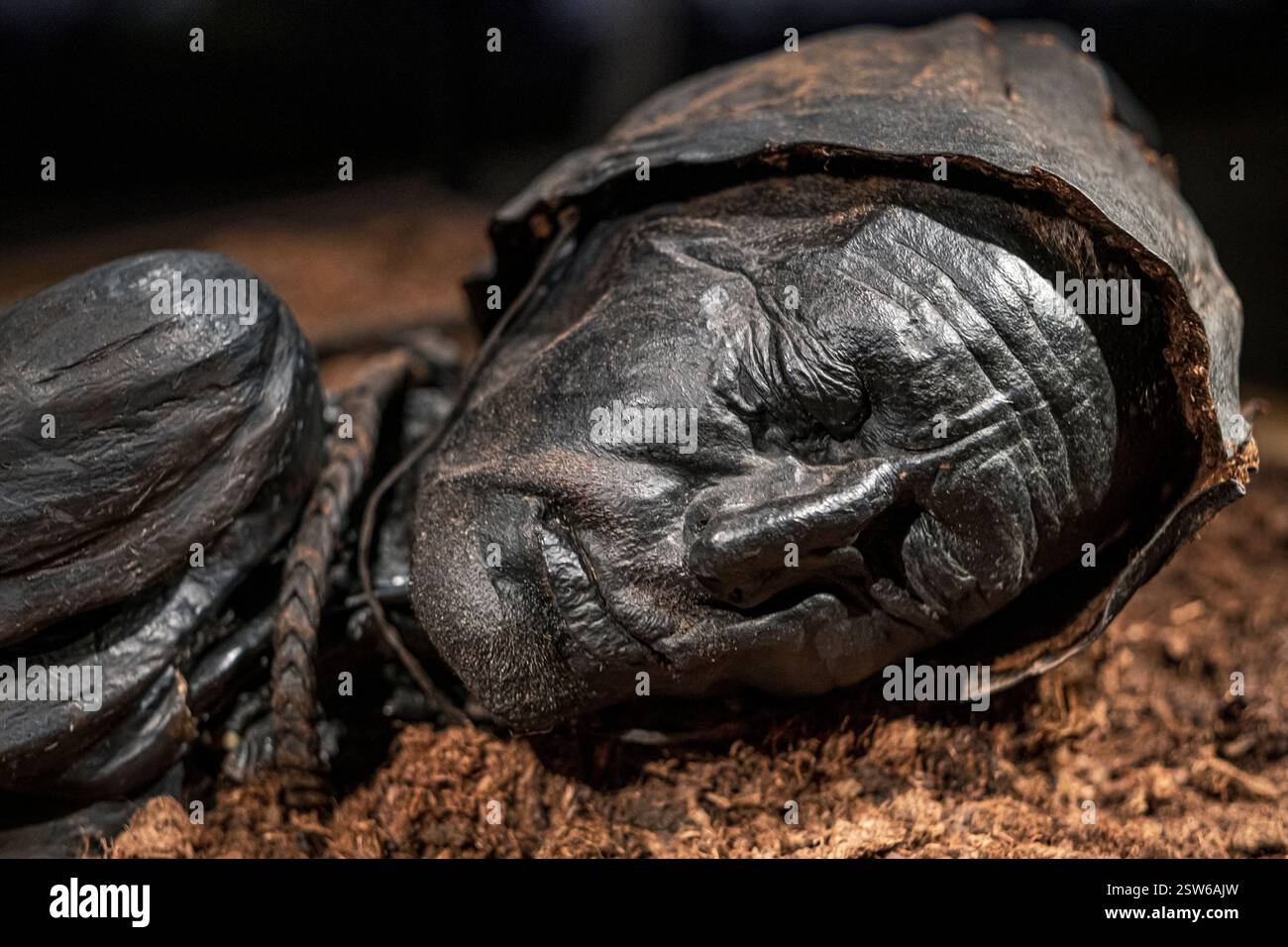 Bog body hi-res stock photography and images - Alamy