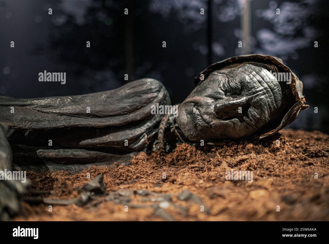 Bog body hi-res stock photography and images - Alamy