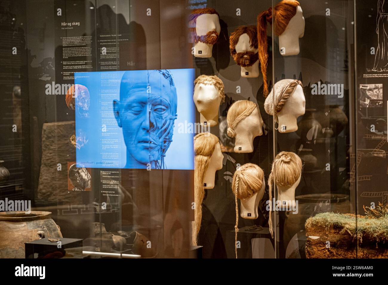 An exhibit on Tollund Man, an Iron Age bog body preserved at the ...