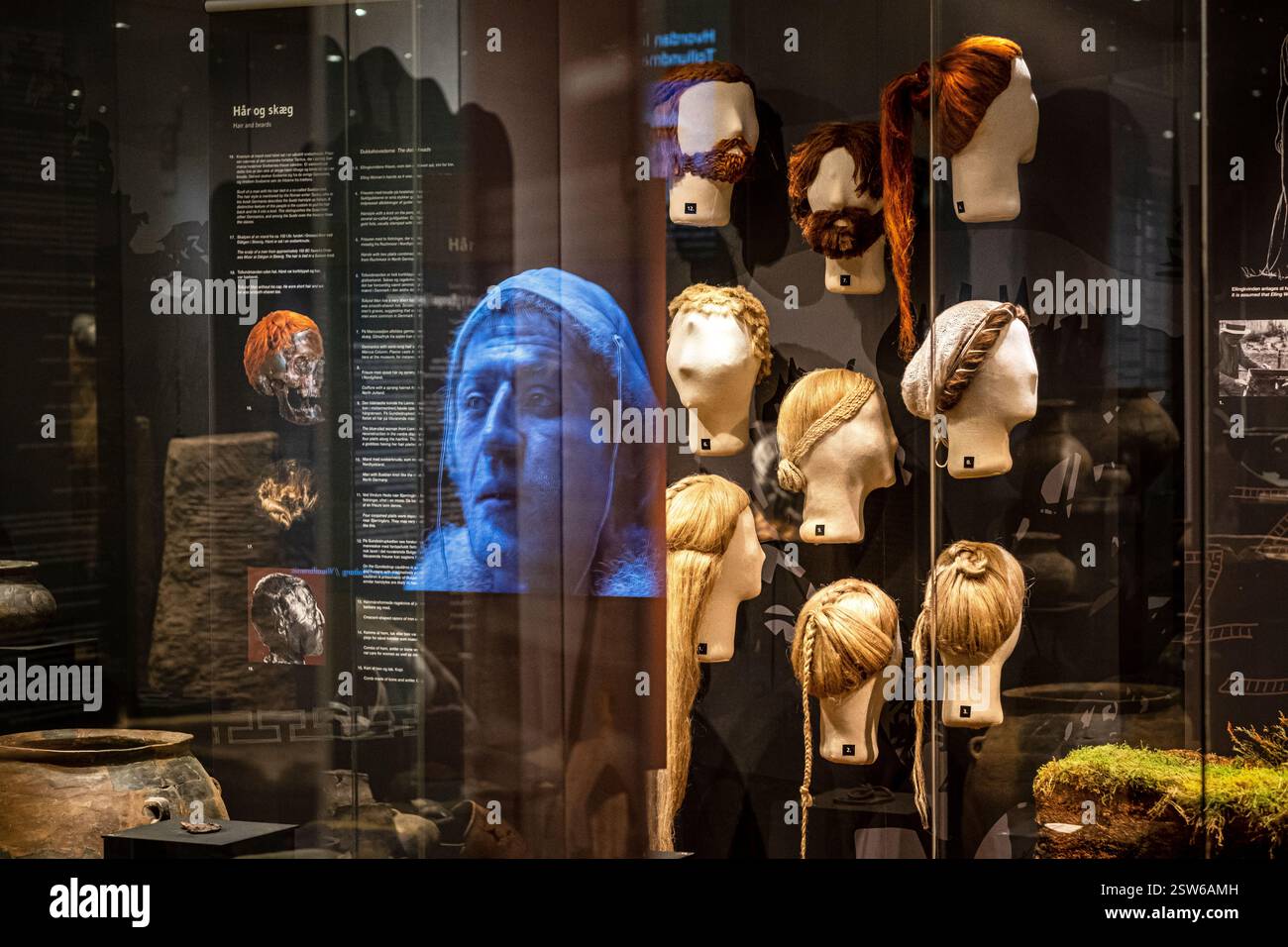 An exhibit on Tollund Man, an Iron Age bog body preserved at the ...