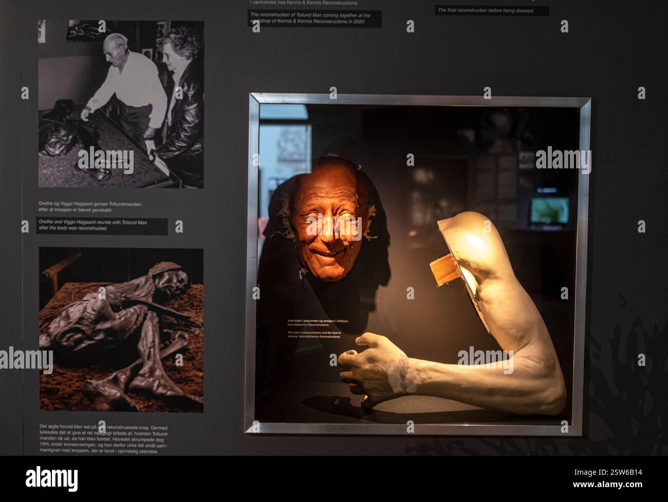 An exhibit on Tollund Man, an Iron Age bog body preserved at the ...