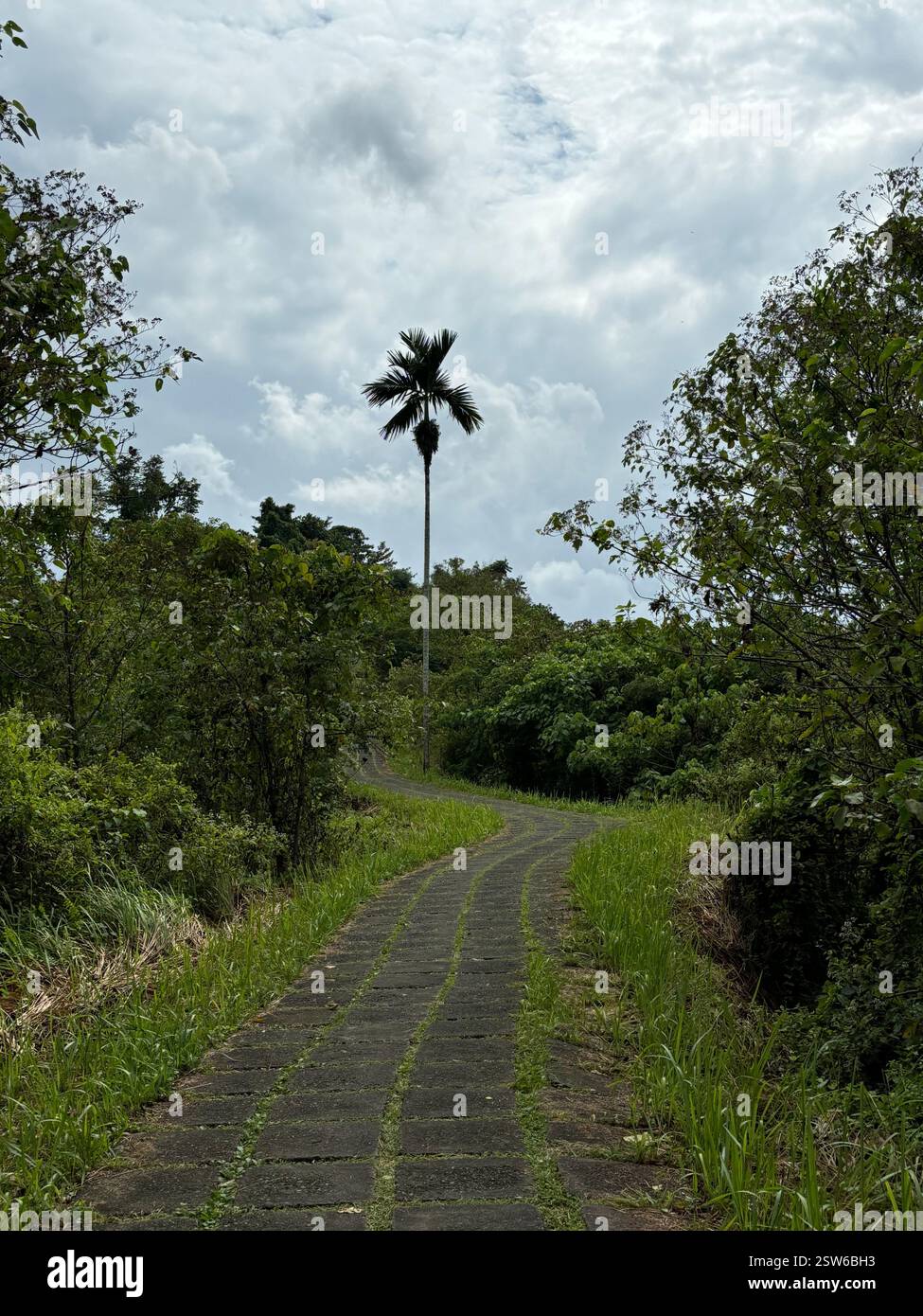 Bali hiking trails hi-res stock photography and images - Alamy