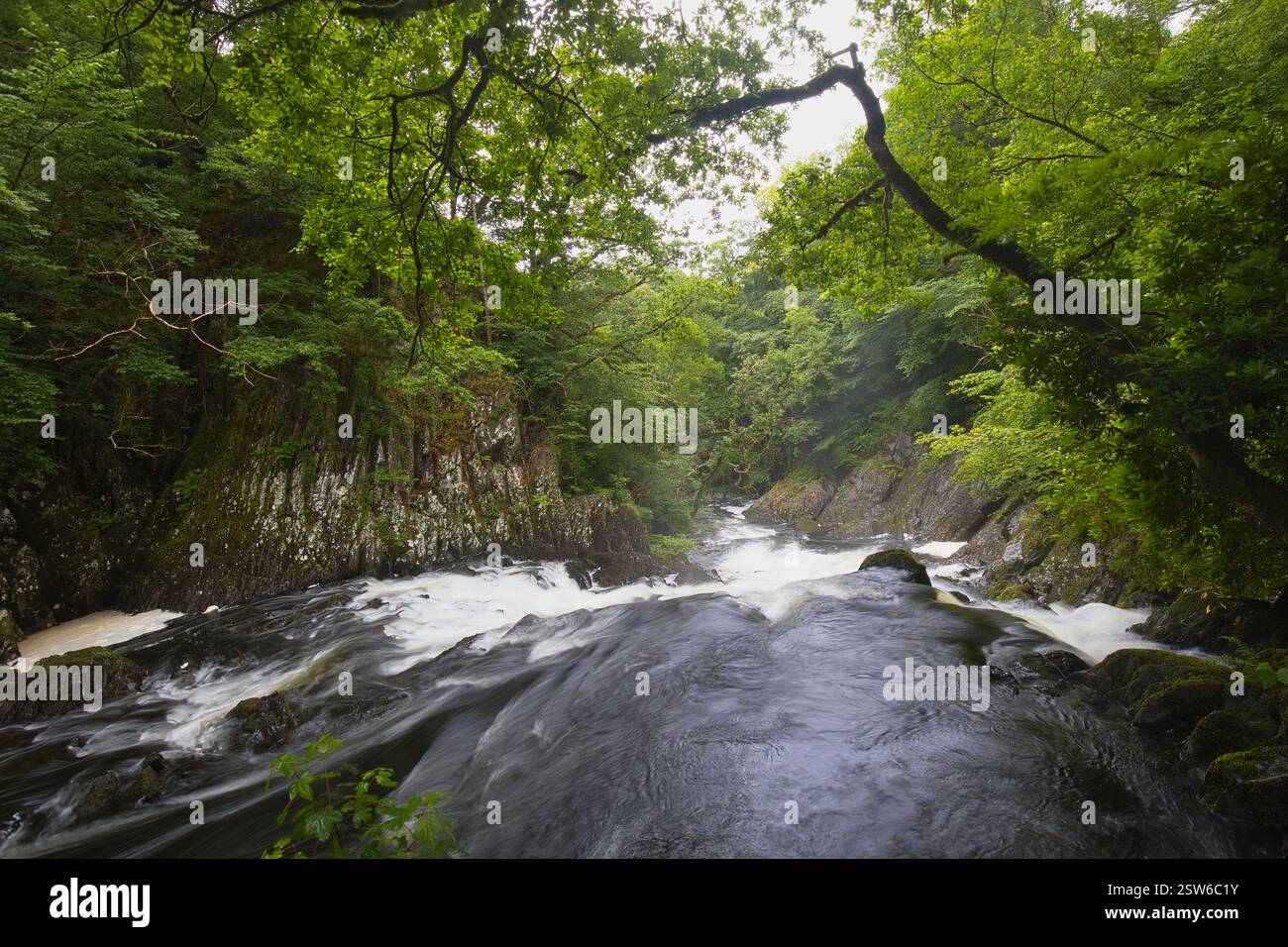 Gwydir forest snowdonia national park hi-res stock photography and ...