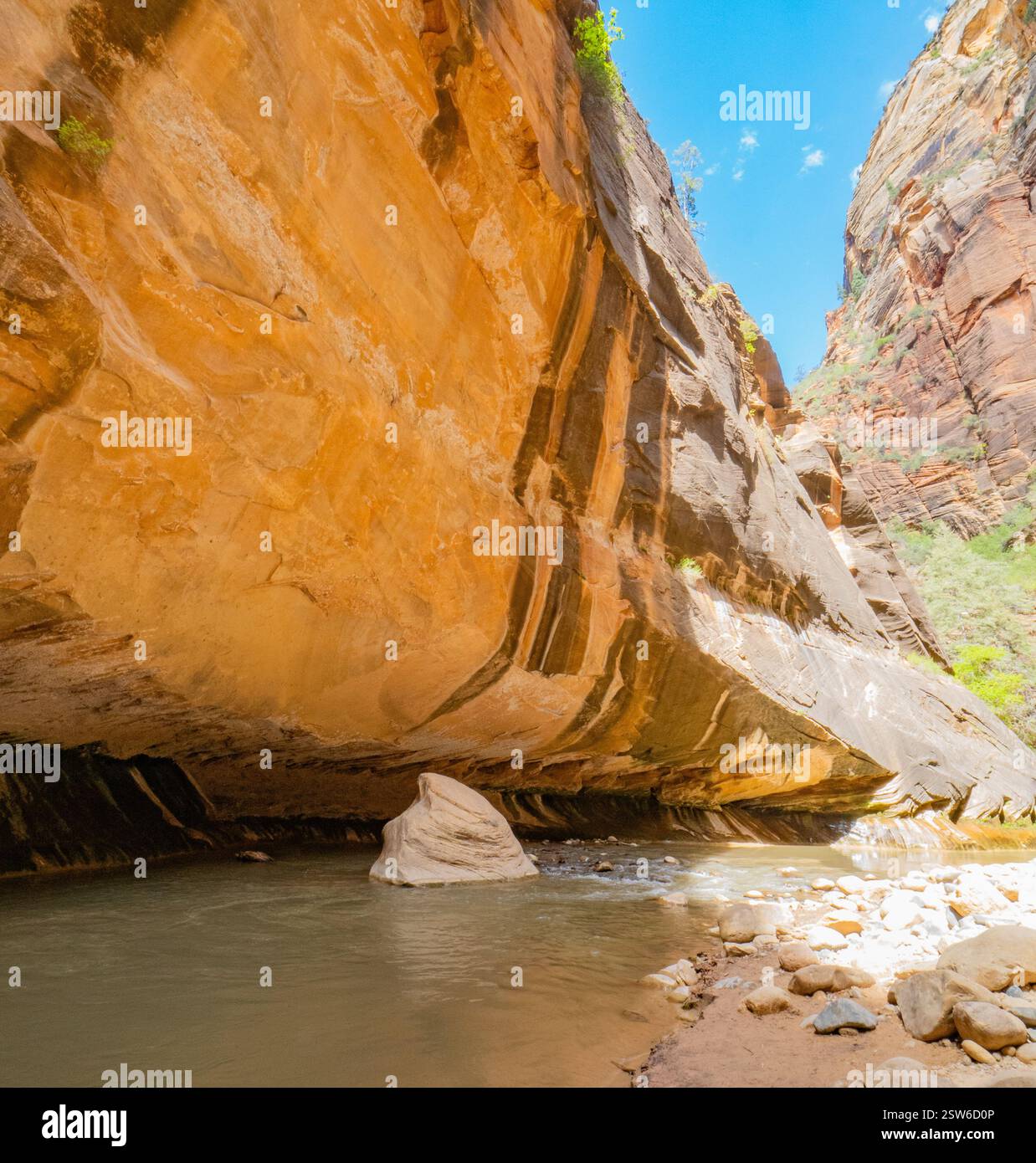 High Curved Wall, Zion National Park the Narrows Hike Stock Photo - Alamy