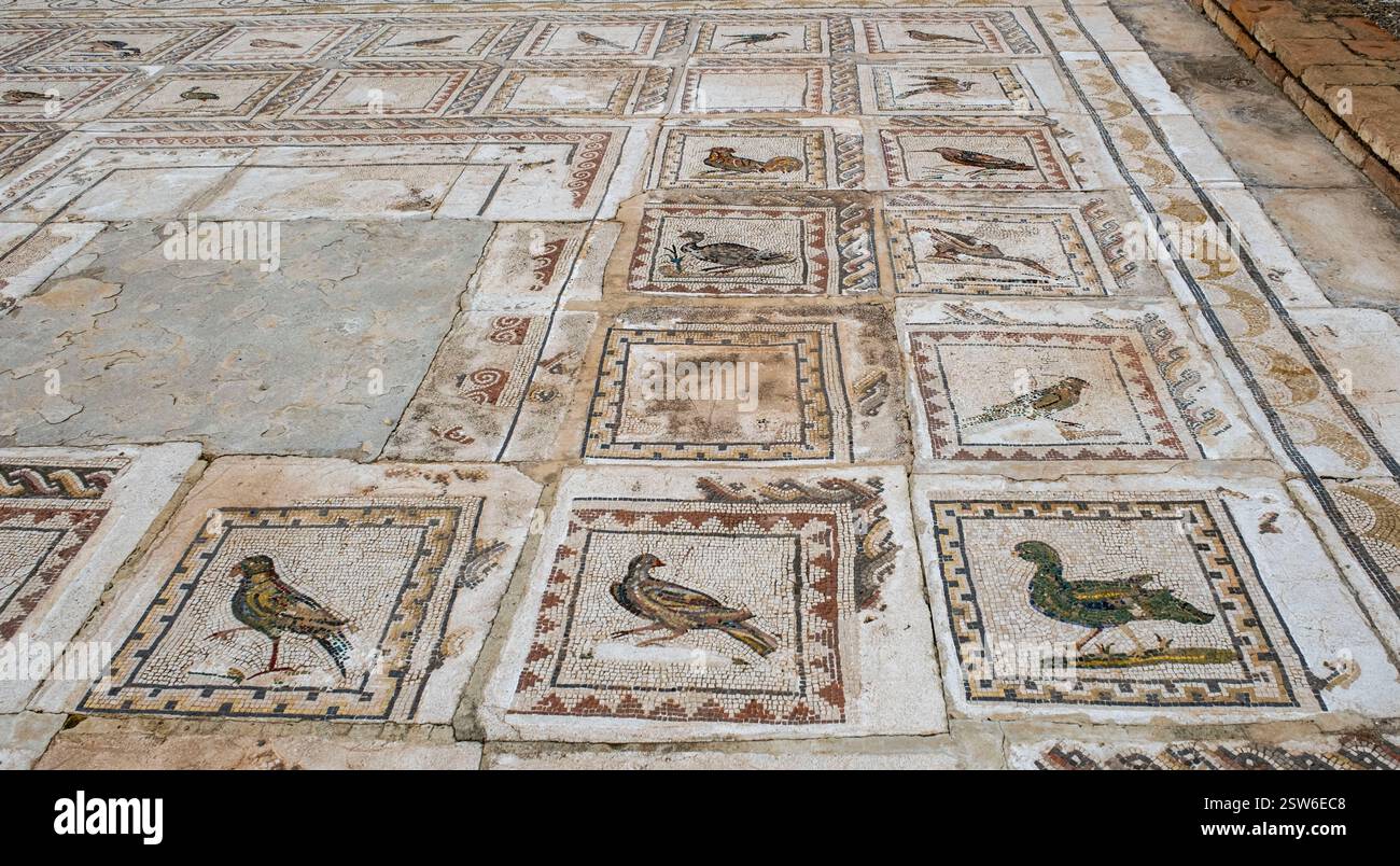 The House of Birds mosaic consisting of a central panel surrounded by ...