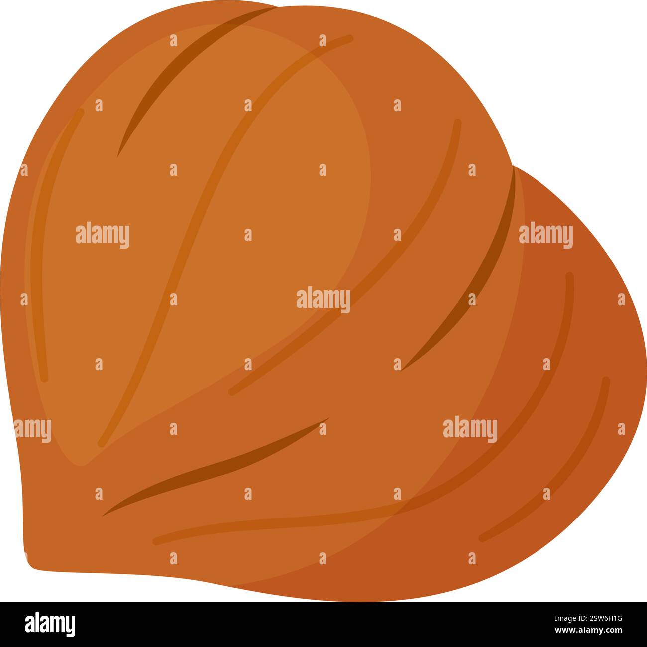 Hazelnut ripe and tasty. Whole hazelnut without skin. Hand drawn trendy ...