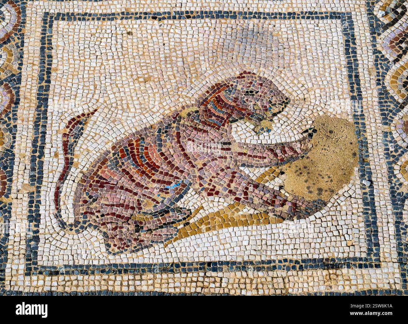 Roman mosaic with busts of the planetary deities, ca. 150 AD, House of ...