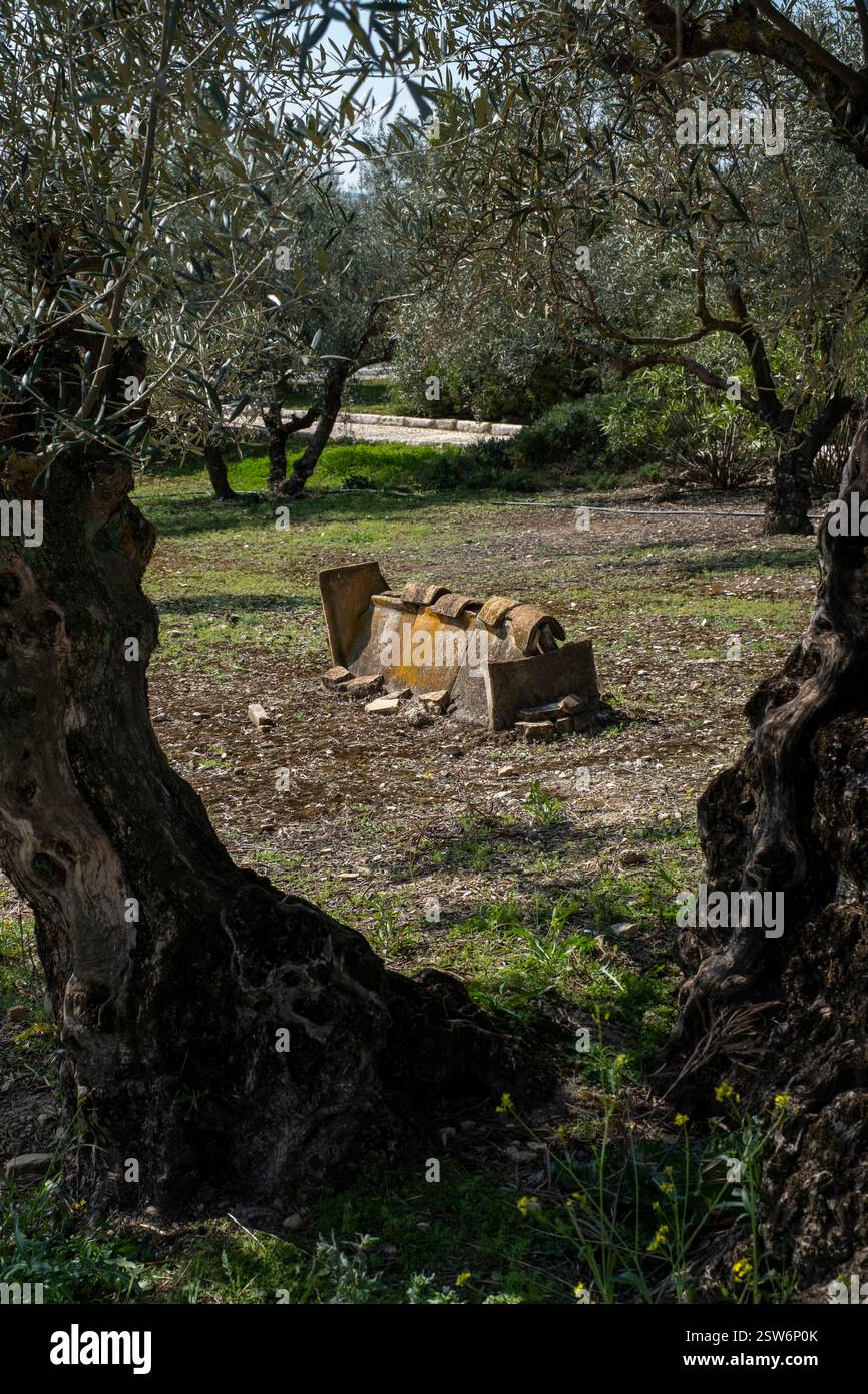 Ancient burial site roman villa of fuente alamo hi-res stock ...