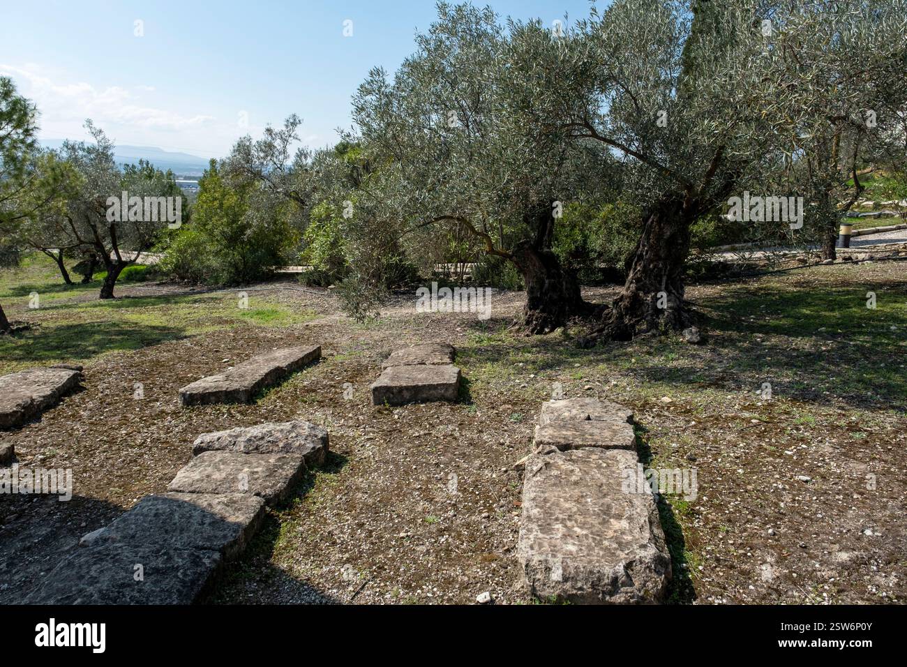 Ancient burial site at the Roman villa of Fuente Alamo, Puente Genil ...