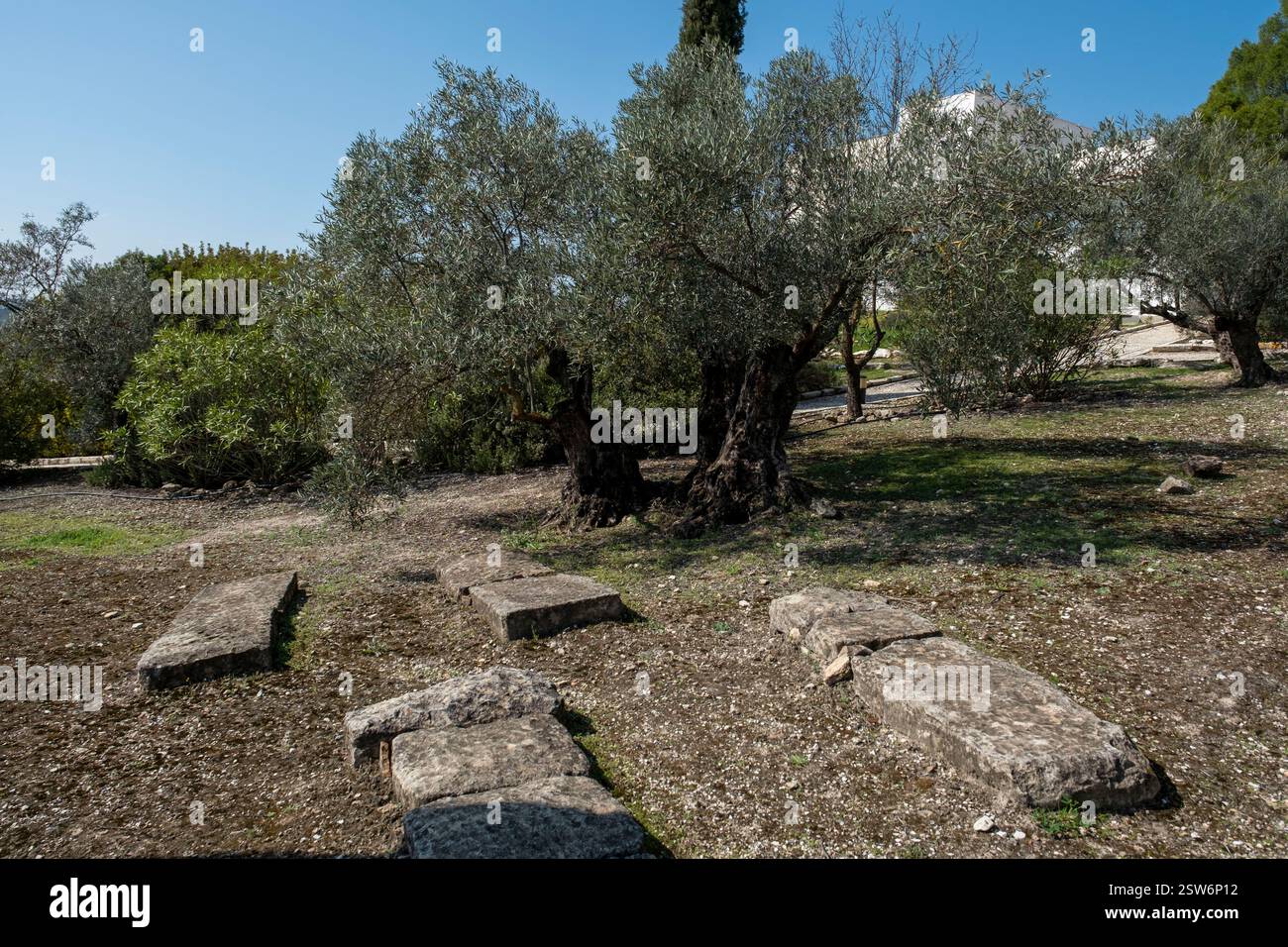 Ancient burial site at the Roman villa of Fuente Alamo, Puente Genil ...