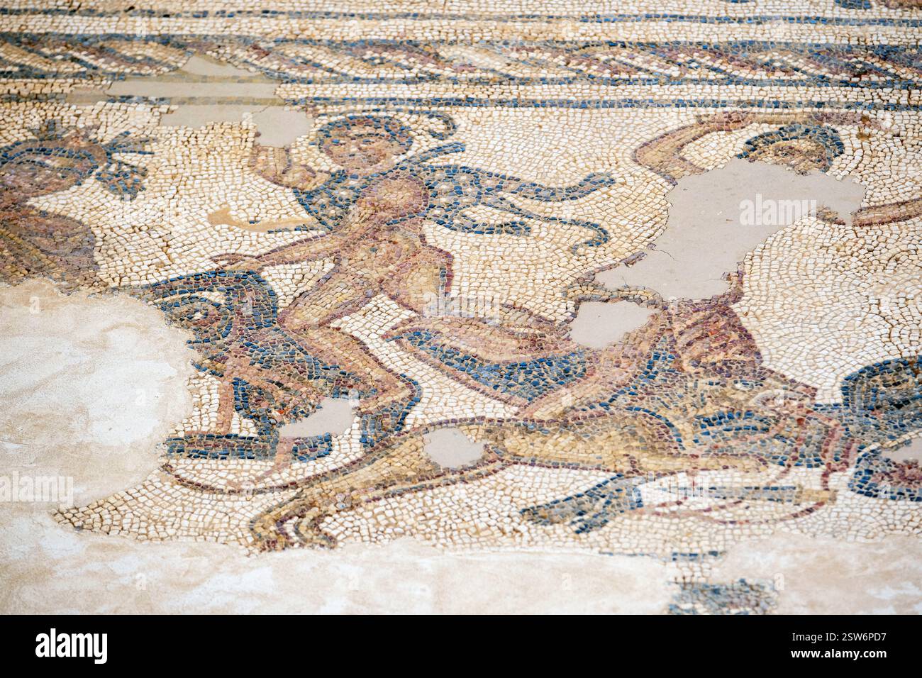 Procession of Bacchus mosaic at the Roman Villa of Fuente Alamo, Puente ...