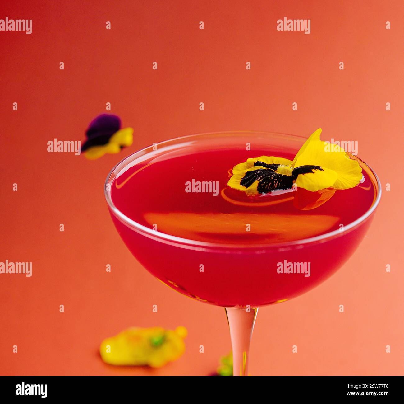 Elegant cocktail with edible flowers on warm background Stock Photo - Alamy