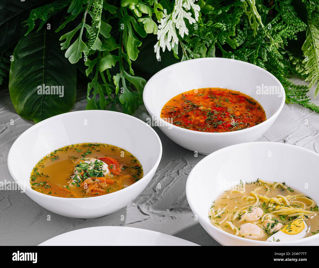 Bowls of fresh, delicious soups with a plate of seasoned meat, served ...