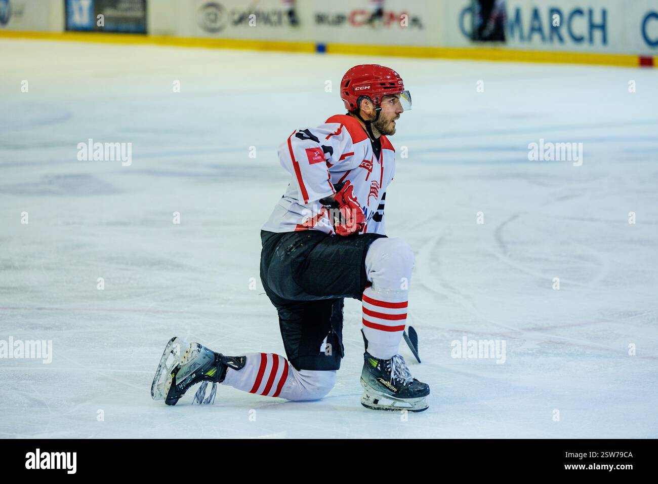 Tim wahlgren hi-res stock photography and images - Alamy