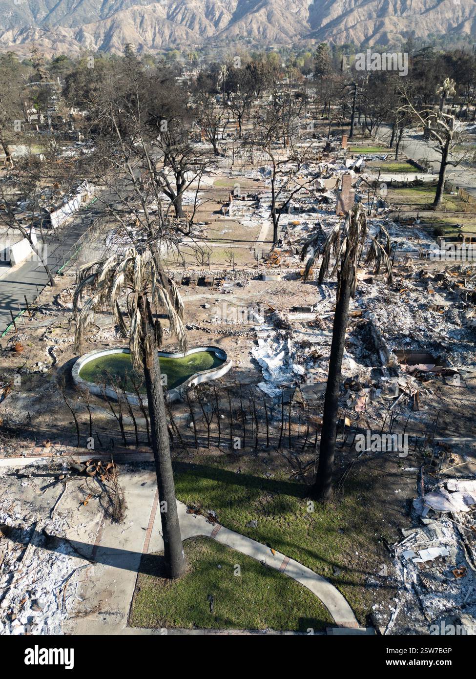 Burned palm trees among the thousands of destroyed homes from the Eaton ...